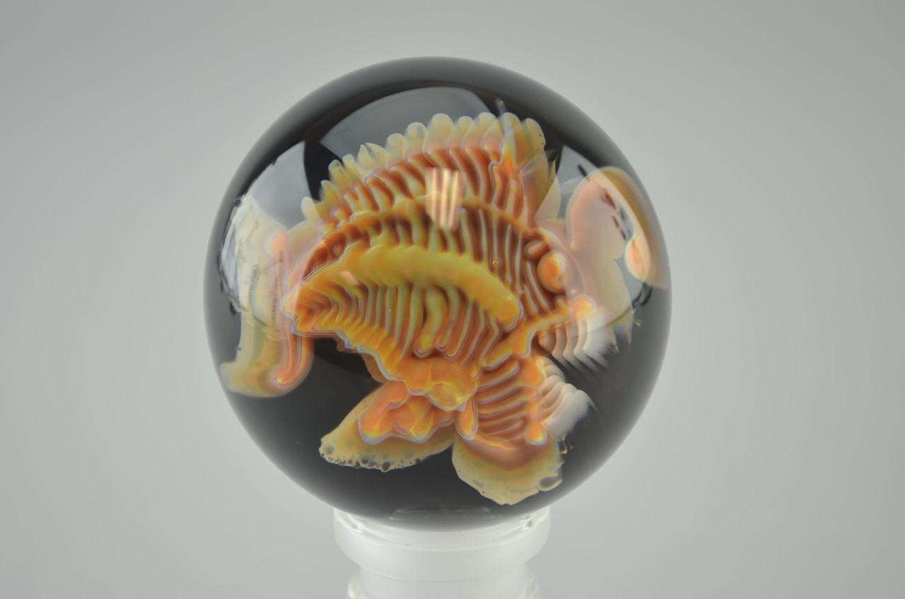 BUCK - Angler Fish Implosion Marble w/ Piranha Fish Millie on Back #1 ...