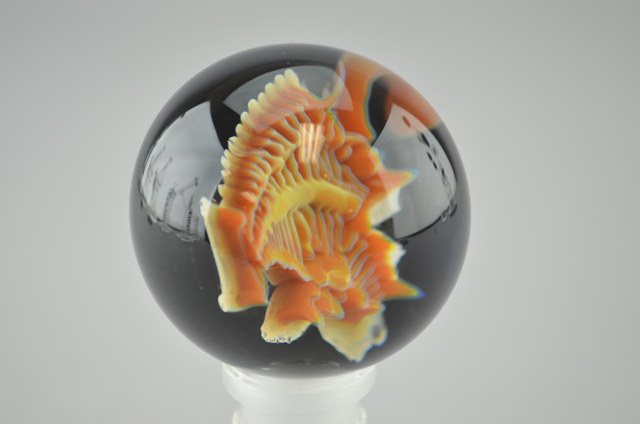 BUCK - Angler Fish Implosion Marble w/ Piranha Fish Millie on Back #1 ...
