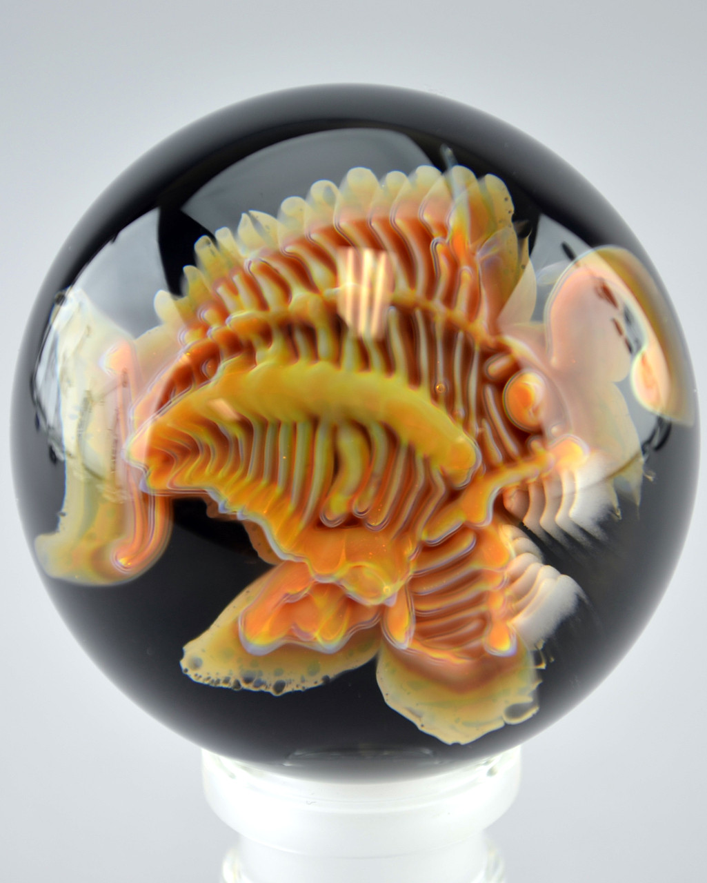 BUCK - Angler Fish Implosion Marble w/ Piranha Fish Millie on Back #1 ...