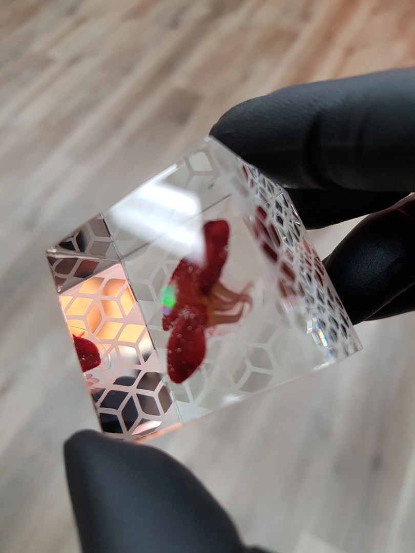 HEFE - Glass Art "Cube" Paperweight - #1 - The Dab Lab