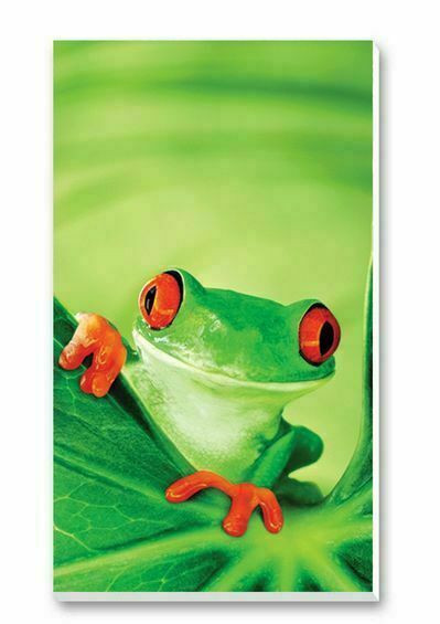 Eye Spy Score Pads Playing Cards Accessory