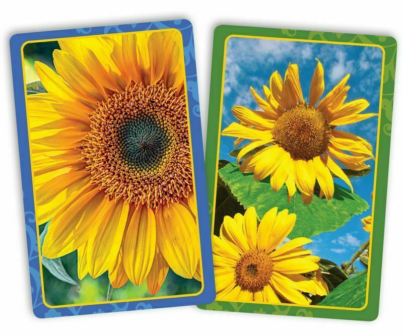 Sunflowers Jumbo Print Index Playing Cards