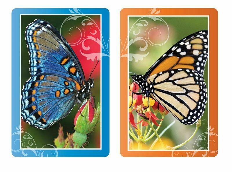 Butterfly Jumbo Print Index Playing Cards
