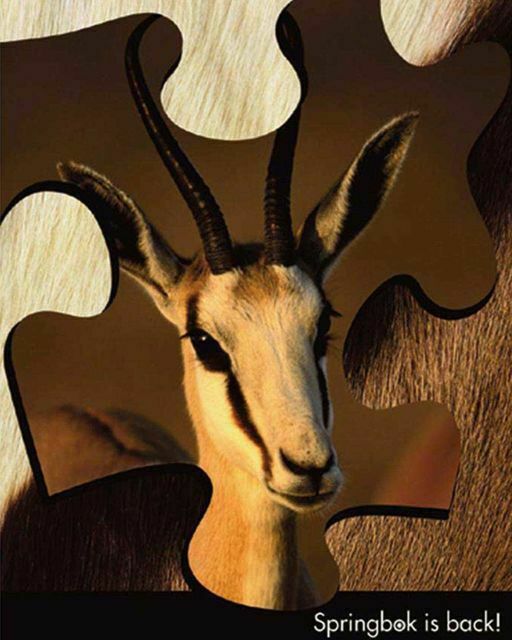 Springbok Puzzle Logo