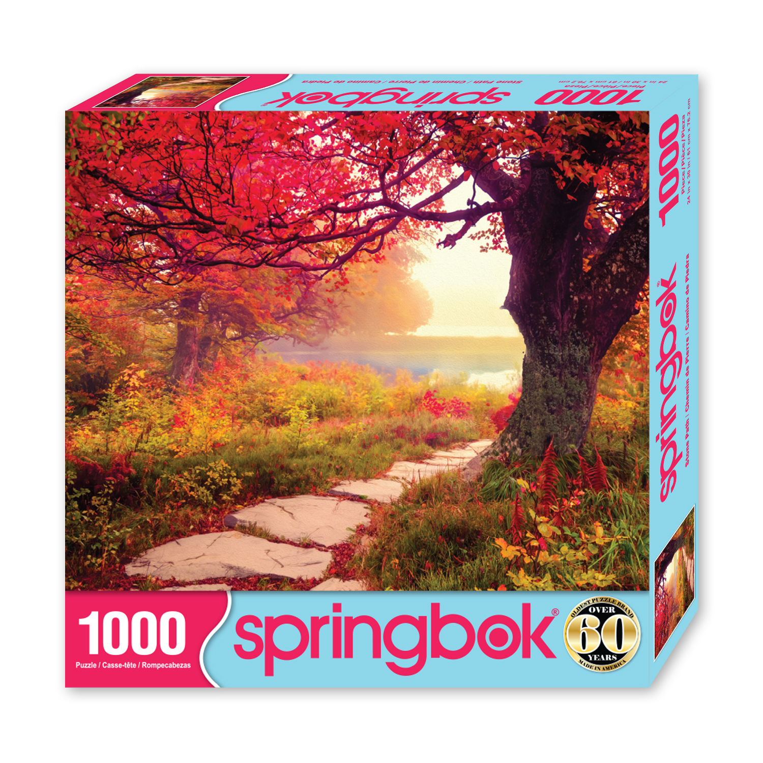 Stone Path 1000 Piece Jigsaw Puzzle
