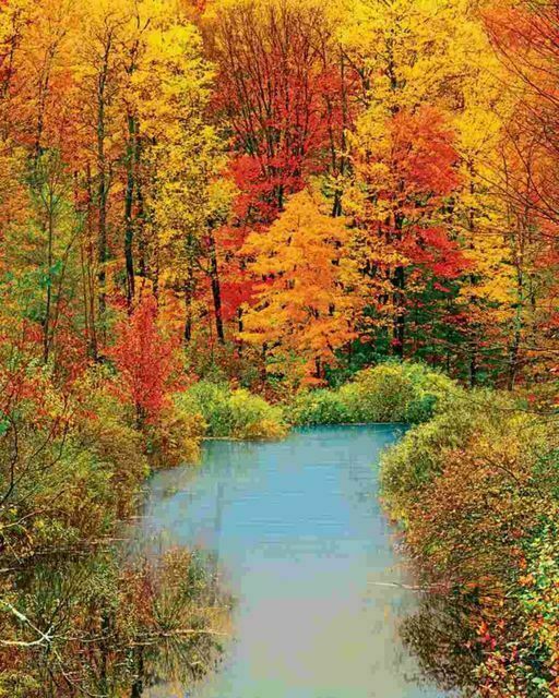 Autumn Reflection 1500 Piece Jigsaw Puzzle