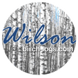 Wilson Enterprises, Inc.
