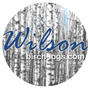 Wilson Enterprises, Inc.