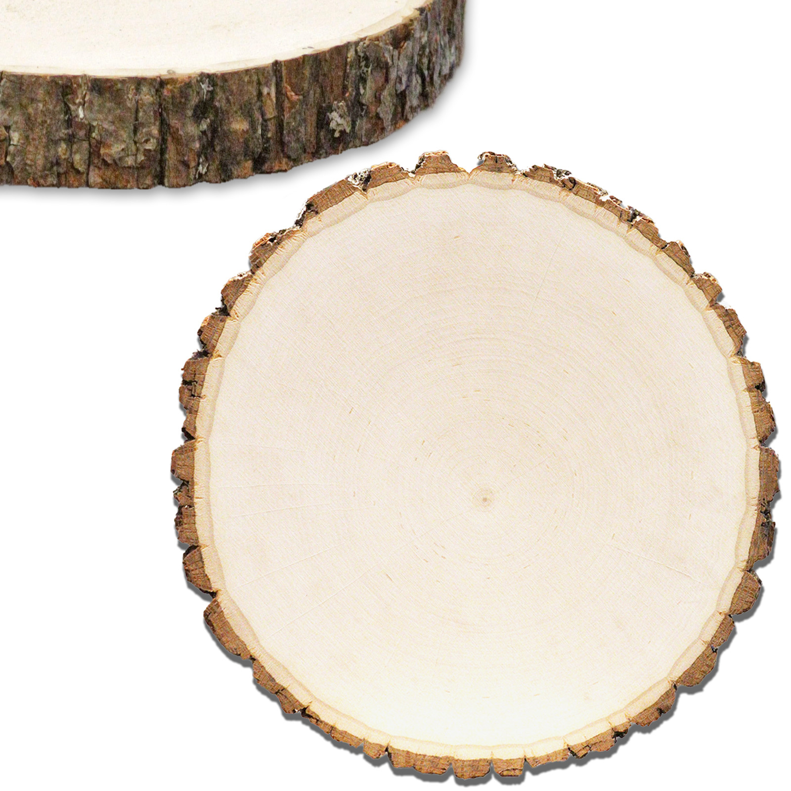 BASSWOOD ROUND - THICK - Birch Logs