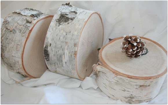 Birch Base