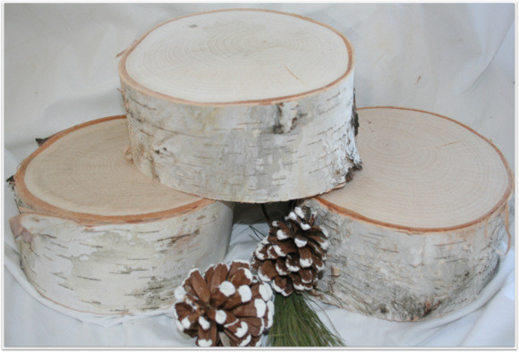 Birch Base