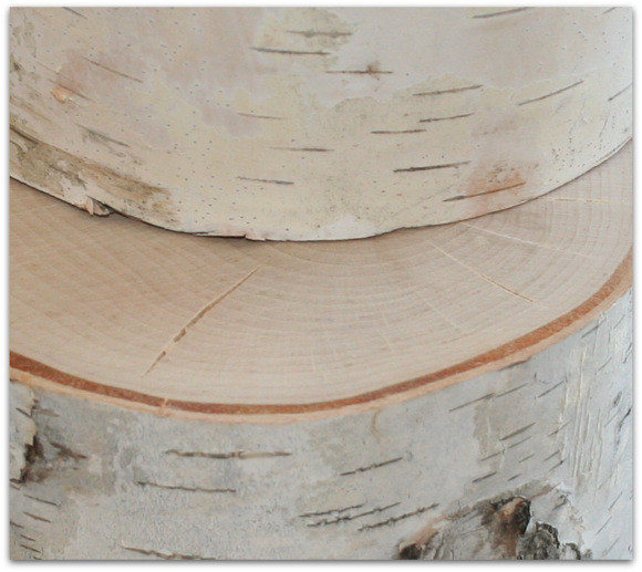 Birch Base