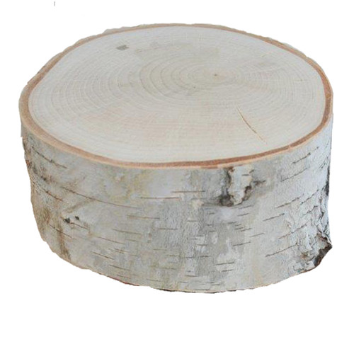 Birch Base