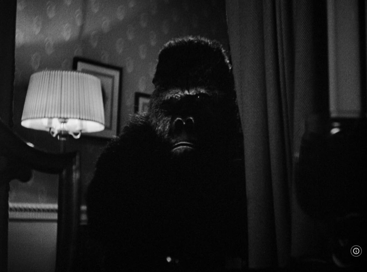 The Monster And The Girl (1941) DVD - Zeus