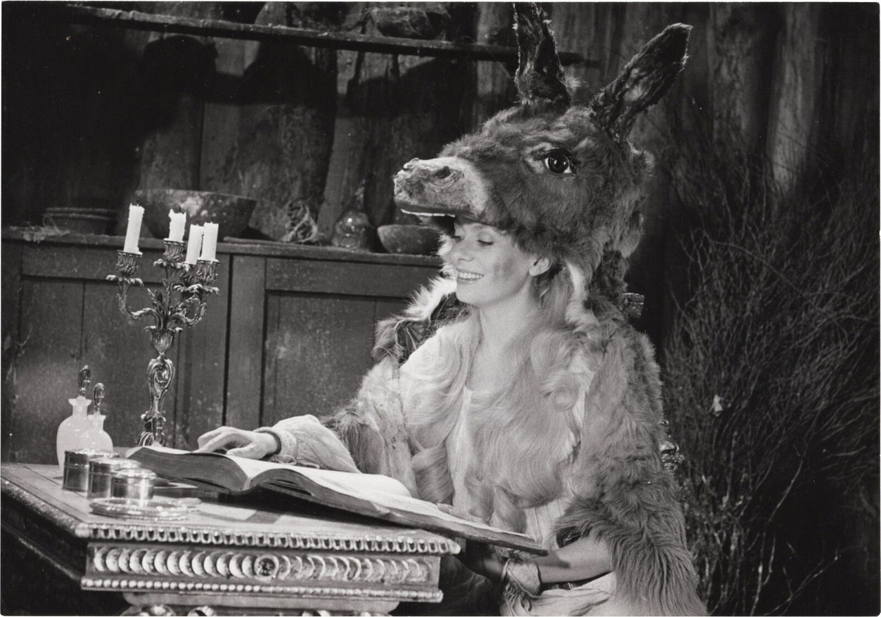Donkey Skin (1970) DVD - Zeus
