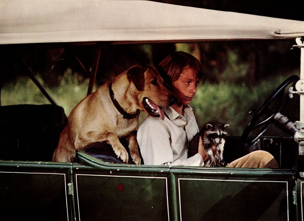 Rascal (1969) DVD - Zeus