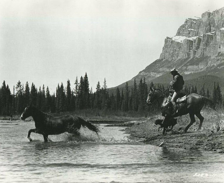 Mustang Country (1976) DVD - Zeus