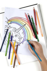 TEXTA Nylorite Colouring Marker Pack12 : 49872 | The Stationery Store