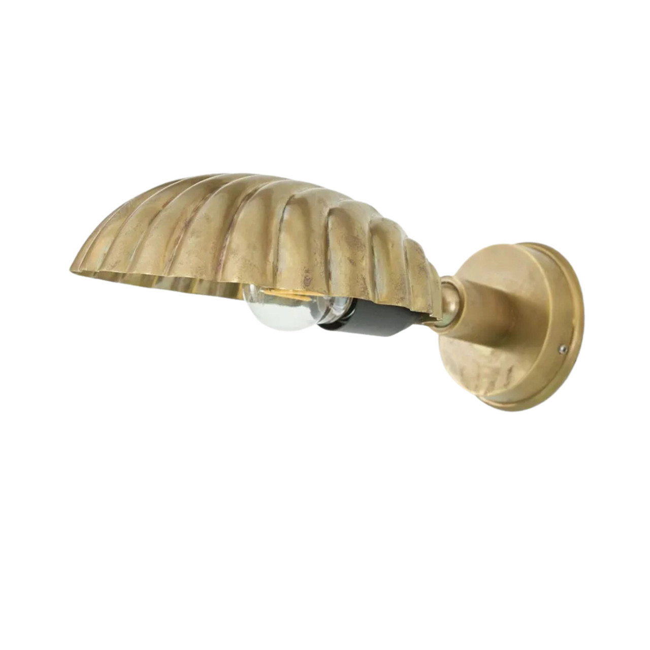 Ontario Antique Brass Clam Shell Wall Light - Zest Lighting