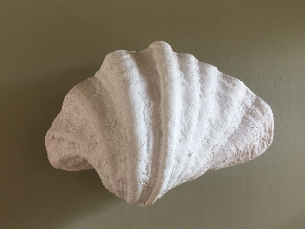 Sea Shell Wall Light Sconces Lampsmodern Modern Sea Shell Glass Wall