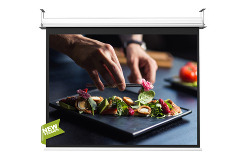 Screenline EI8-169 Home Vision 4K | 108 inch Electric In-ceiling ...