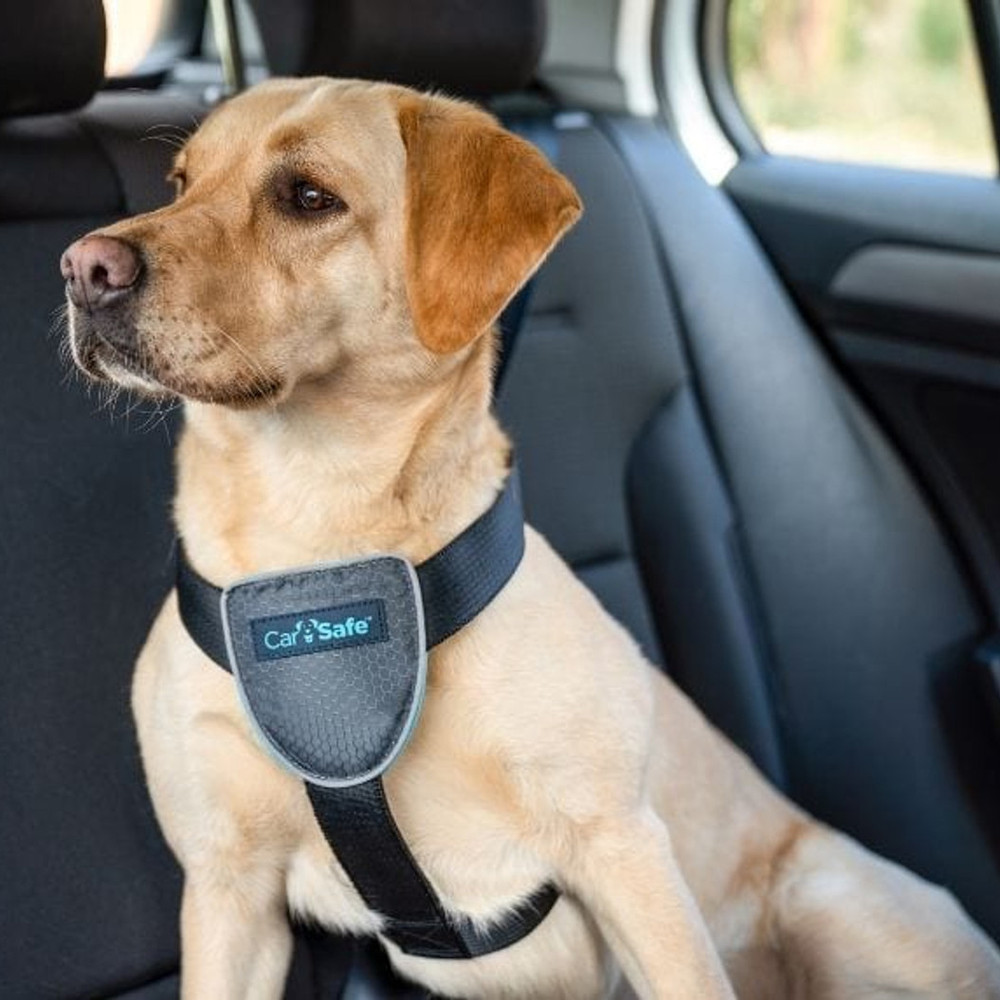 CarSafe Dog Travel Harness Black