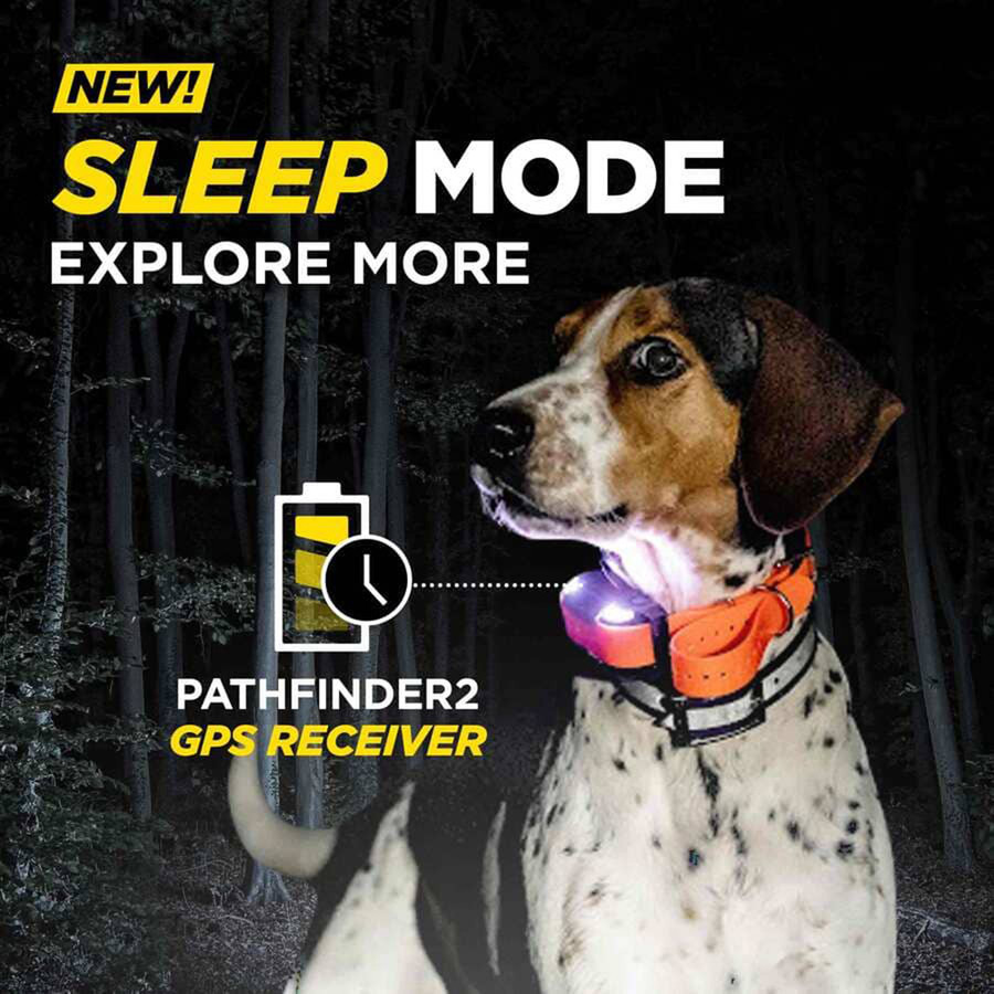 Dogtra Pathfinder GPS Dog Track N Train System - DogMaster Trainers