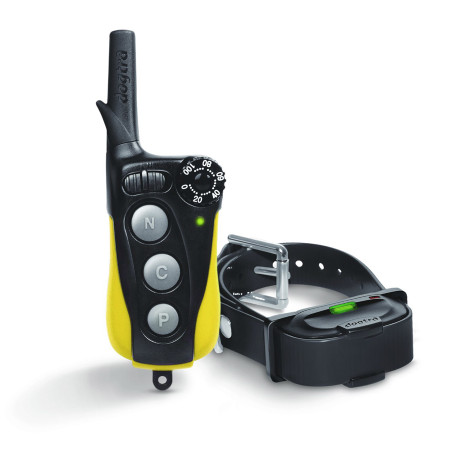 DOGTRA IQ MINI: A GAME-CHANGING TRAINING COLLAR FOR YOUR SMALL CANINE ...