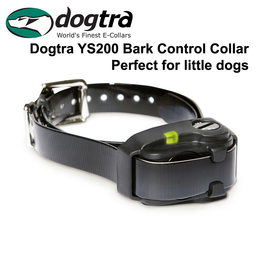 How to stop a dog from barking ? - Dogmaster Australia