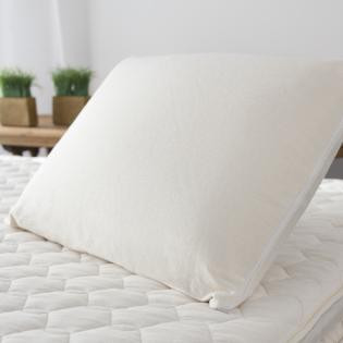 Organic Latex Soap-Shaped Pillow