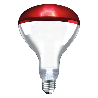Infrared Reflector Lamp Ruby Non-Dimmable 250W 1500K ES-E27 - Crompton ...