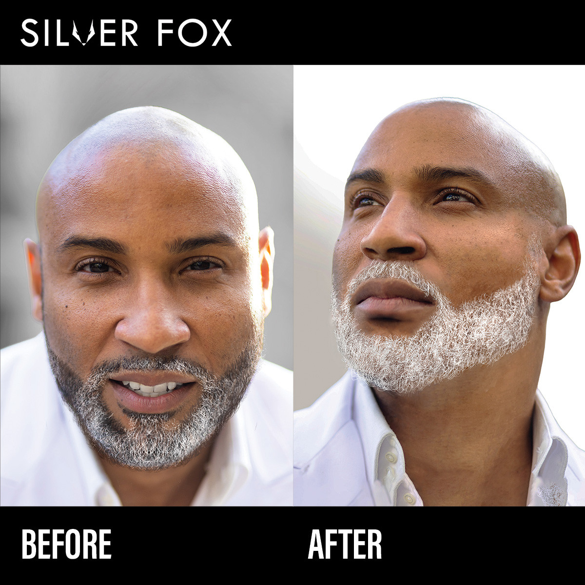 Godefroy - Silver Fox Beard Color - Beauty Bridge
