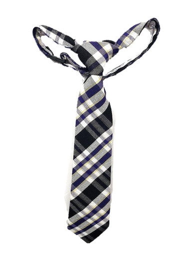 Plaid 2M - Boys Straight Tie - Educational Outfitters - Denver