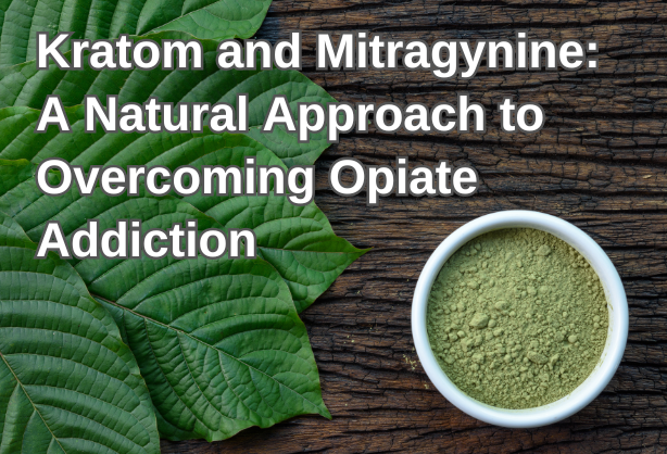 How Kratom and Mitragynine Can Help Naturally Overcome Opiate Addiction ...