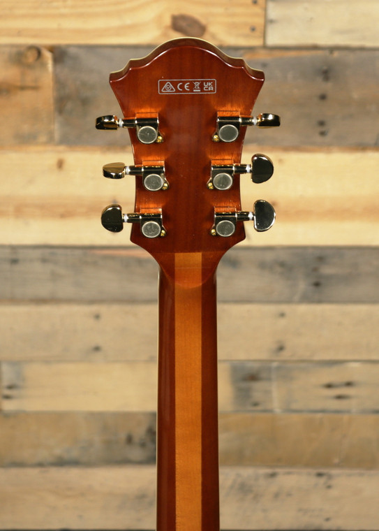 Ibanez Artcore Expressionist AF95 Hollowbody Guitar Dark Amber