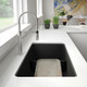 Blanco 442521 PRECIS 1.75 Low Divide Undermount - Cinder