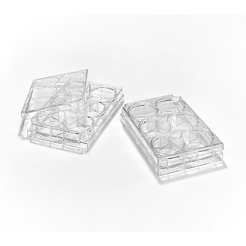 Evergreen Scientific Untreated, Sterile Microplates, flat bottom ...