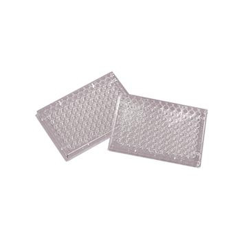 Thermo Scientific Microtiter Plates, 50 per box - Lab Genome