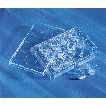 Corning 12 mm Polycarbonate Transwell Inserts, 48 per case - Lab Genome
