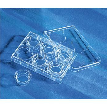 Corning 24 mm Transwell Inserts, 24 per case - Lab Genome