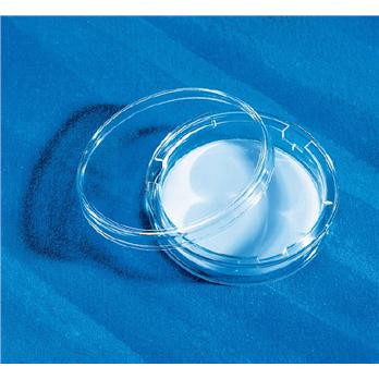 Corning 6.5 mm Transwell Microplate Inserts, 48 per case - Lab Genome