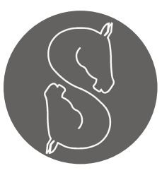St Croix Logo St. Croix Hospice H.I.G. Capital Portfolio Company