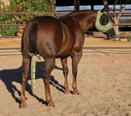 Tail Tamer Lycra Tail Bag
