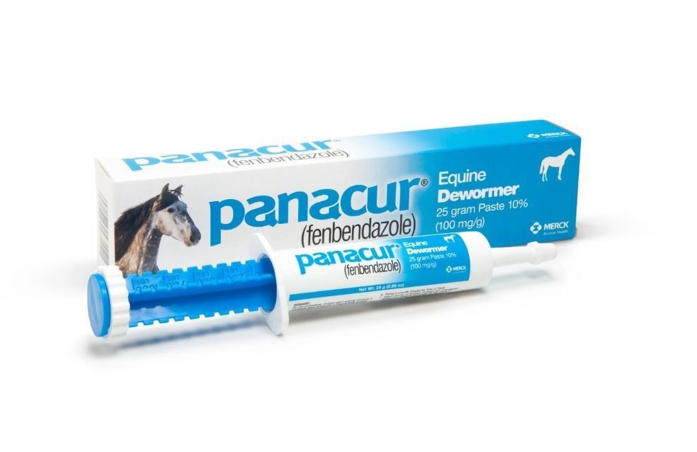 Panacur Equine Paste