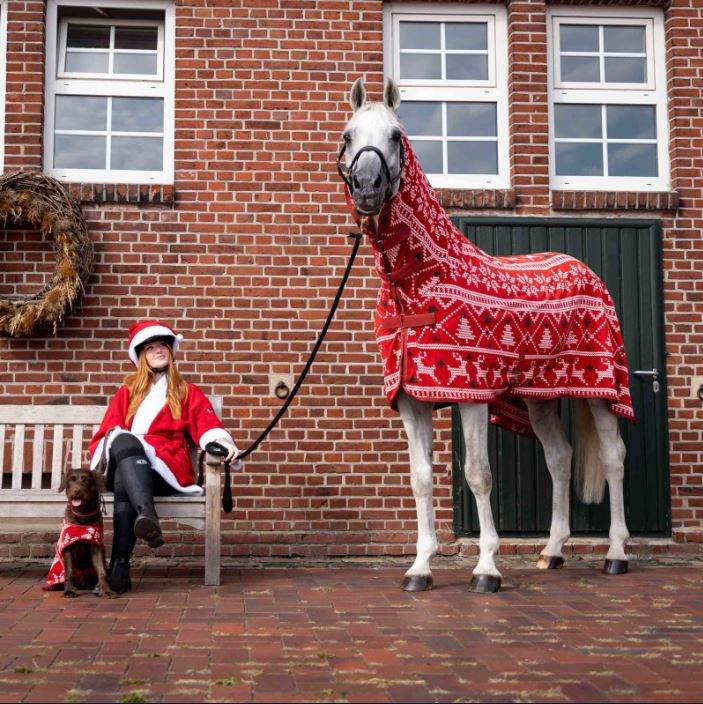 Horze Santa Christmas Fleece High Neck Cooler