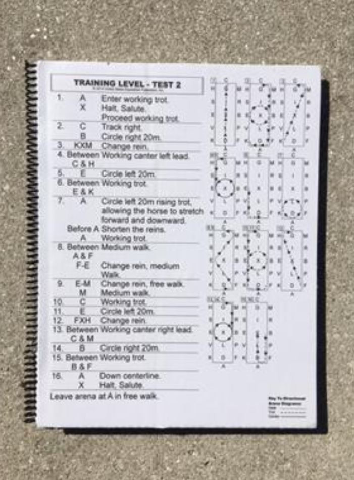 Whinny Widgets BIG PRINT Dressage Test Book (LAMINATED) 2023
