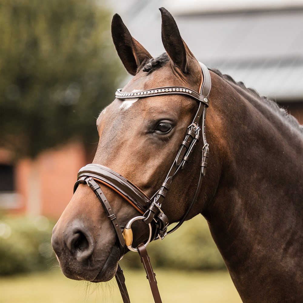 Horze Classic Dressage Ergonomic Bridle with Curved Browband