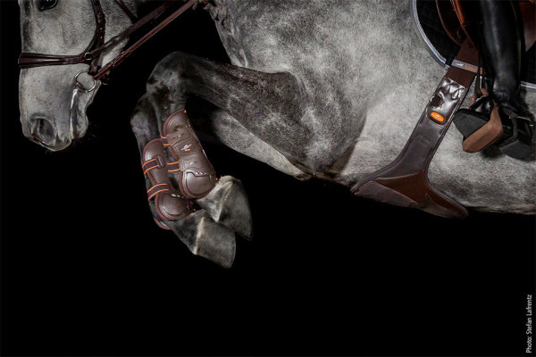 Schockemöhle Air Flow Champion Tendon Boots