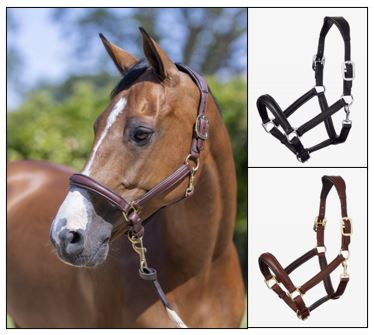 LeMieux® Anatomic Halter