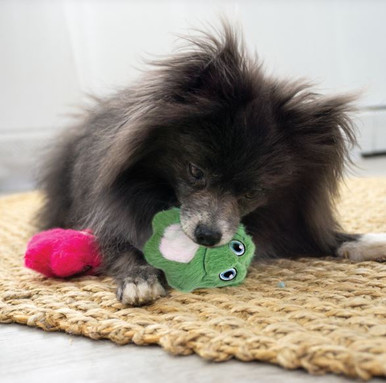 KONG® Snuzzles Mini Frog Plush Dog Toy - XSmall